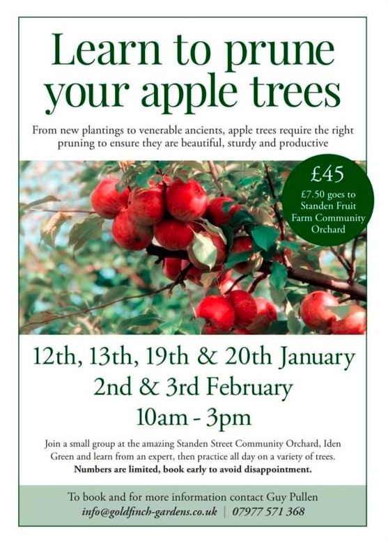 Standen Fruit Farm Community Orchard Association | A Beautiful Orchard ...